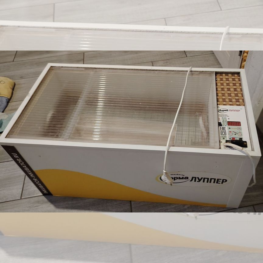 Инкубатор для яиц автоматический