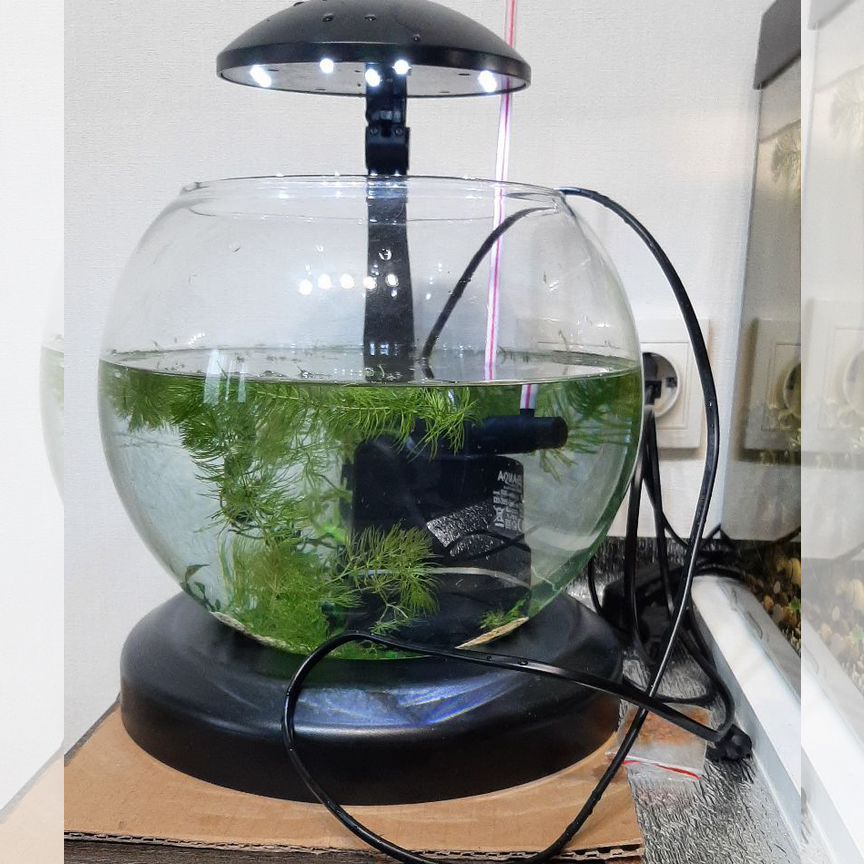 Аквариум 6,8 литров с подсветкой