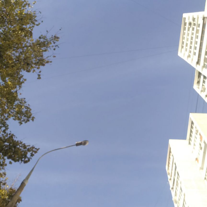 Ищу хозяина собаки барни, прошу напишите мне