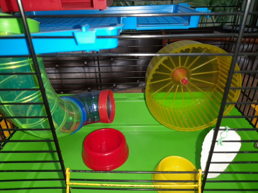 Клетка для грызунов все включено