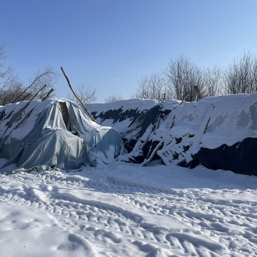 Сено в рулонах