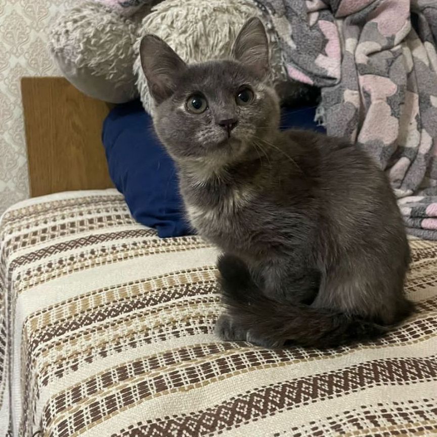 Маленькая девочка