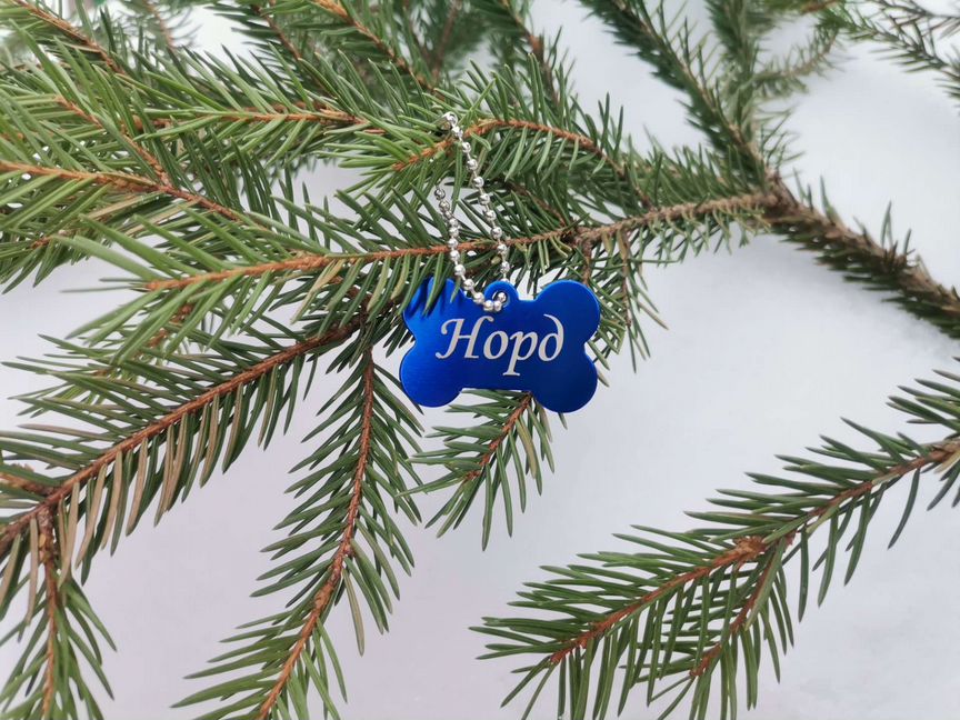 Адресник для животных