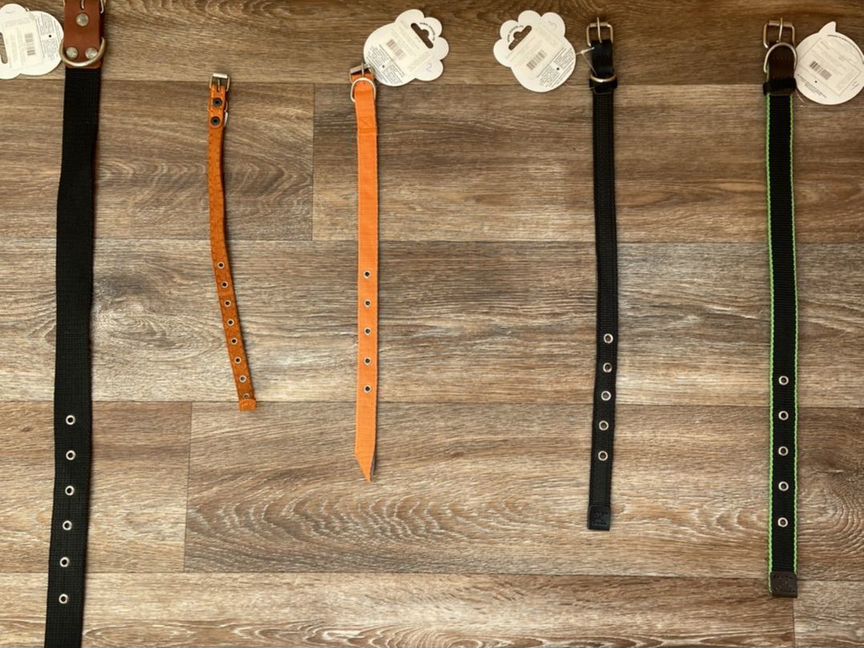 Ошейник для собак и кошек