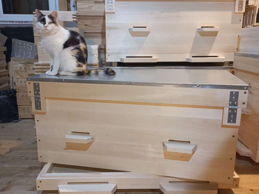 Лежак из липы с отъемным дном