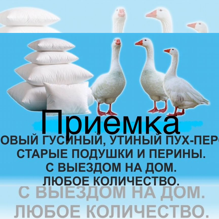 Пух-перо гусиный/утиный мокрый/сухой