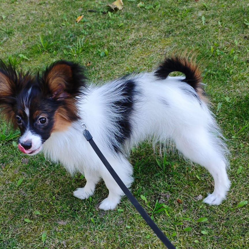 Парень огонёк