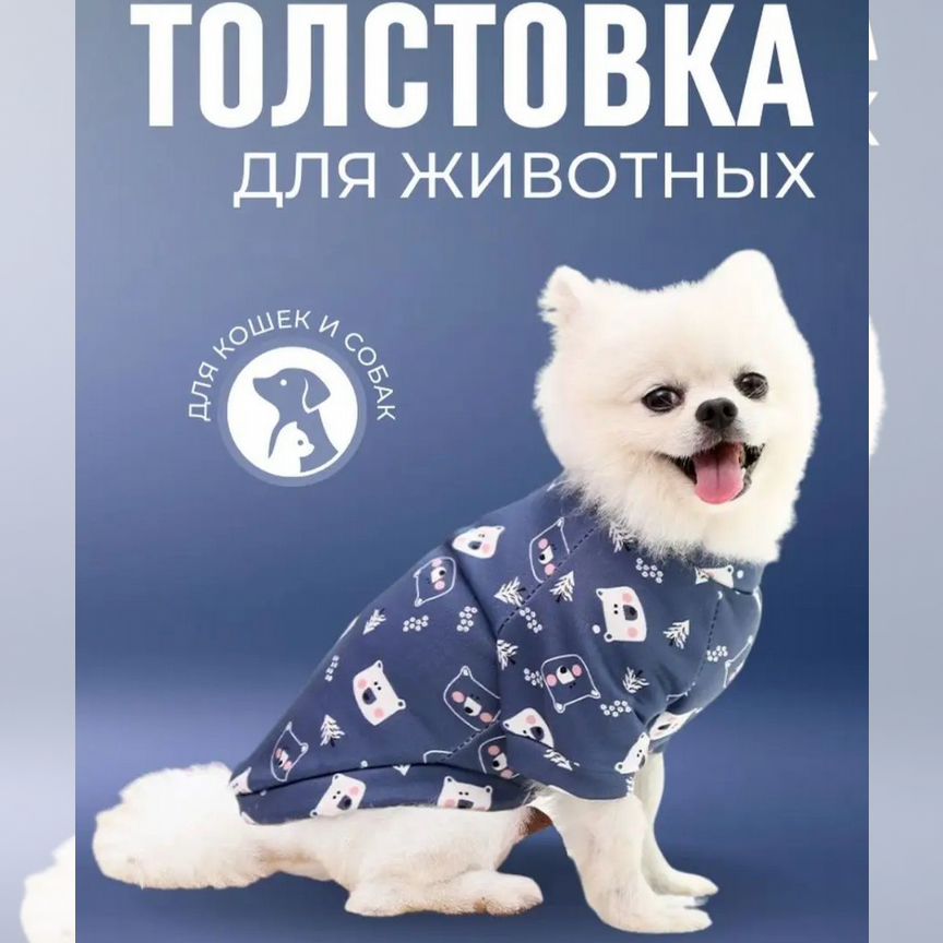 Одежда для собак и кошек