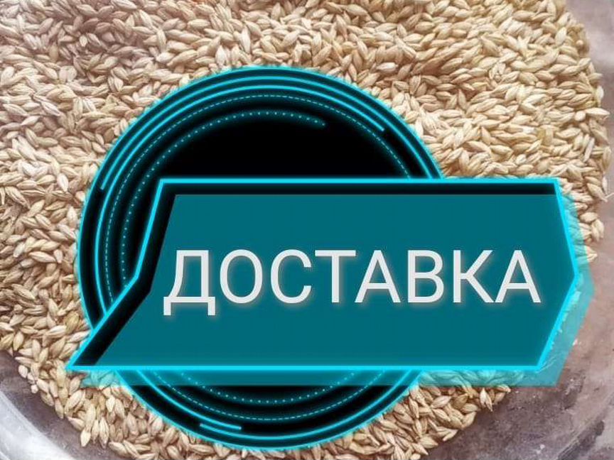 Пшеница. Овес. Ячмень.Горох.Дробленка