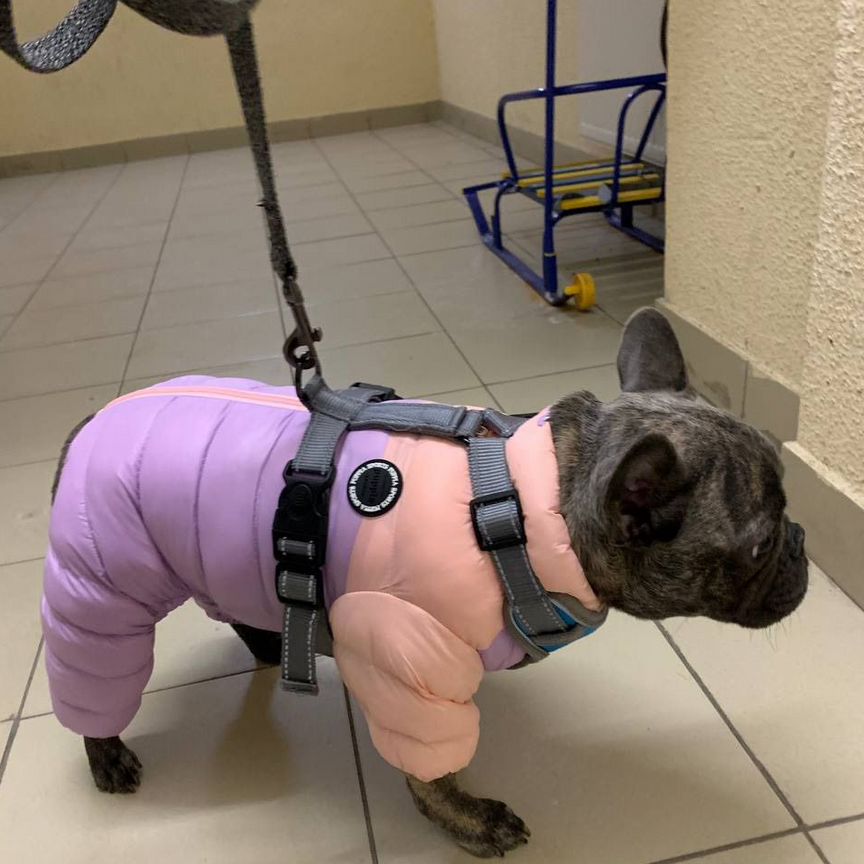 Комбинезон для собак puppia Ultra Light Pastel