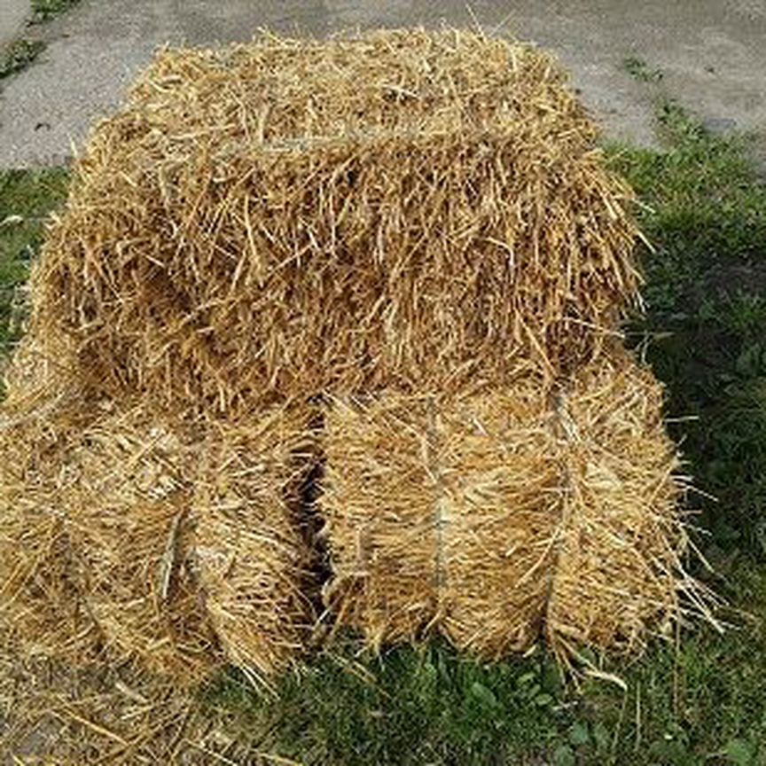 Сено солома в брикетах