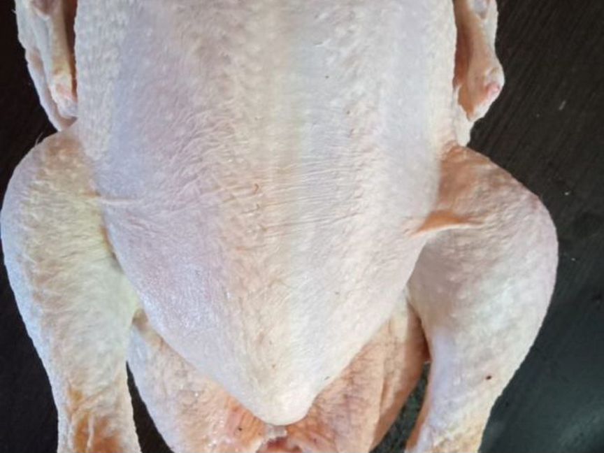 Мясо бройлера