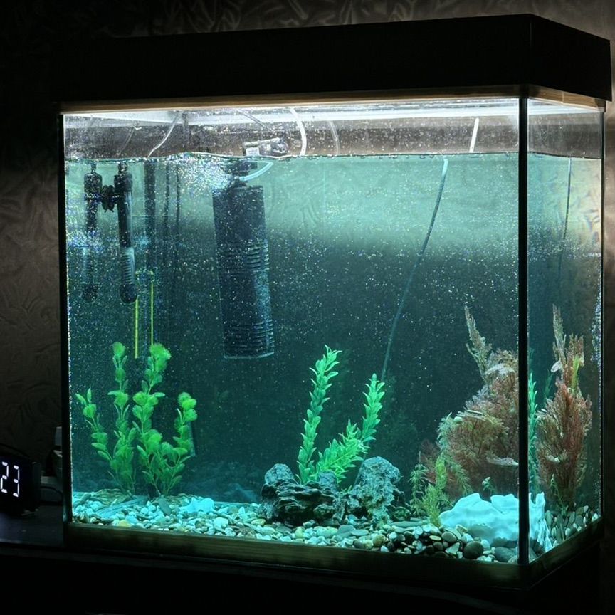 Аквариум 100л