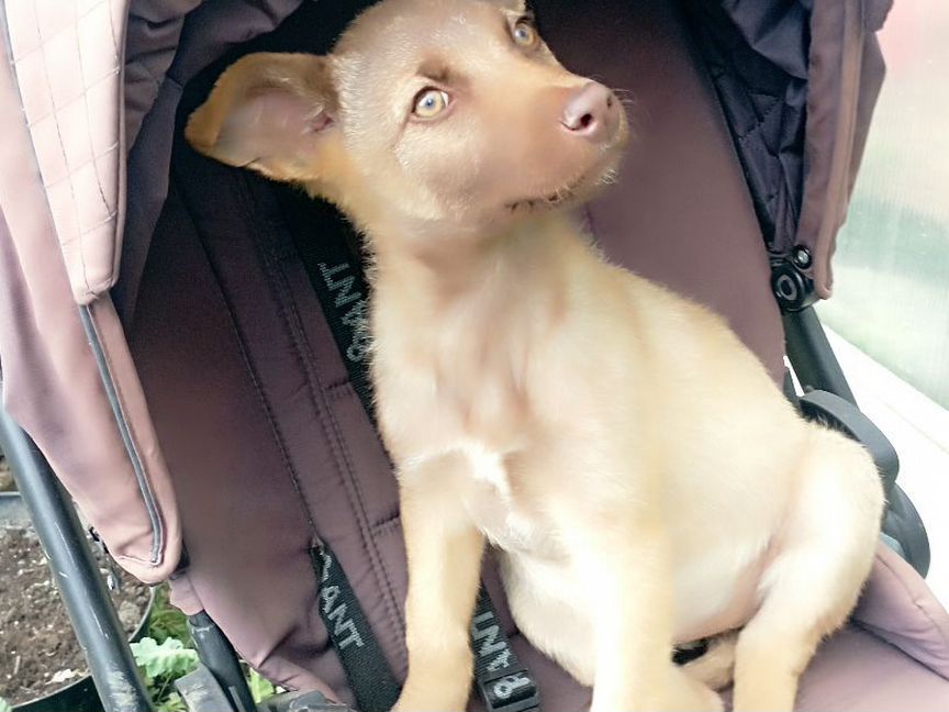 Малышка ждёт мамочку