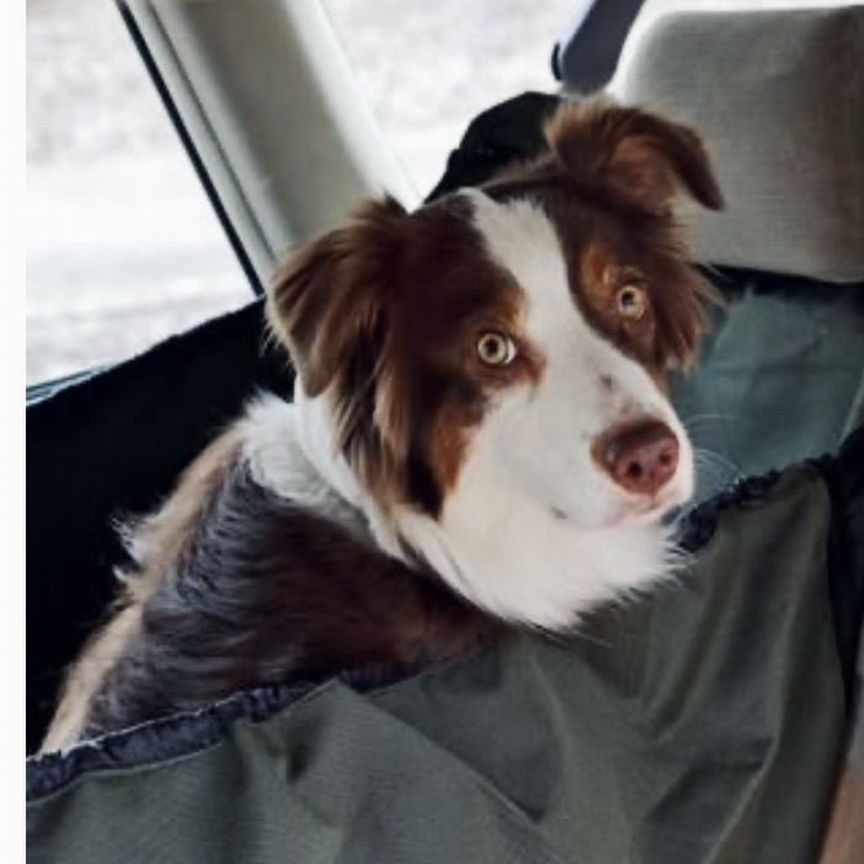 Автогамак osso Car Premium, на 1/3 сидения