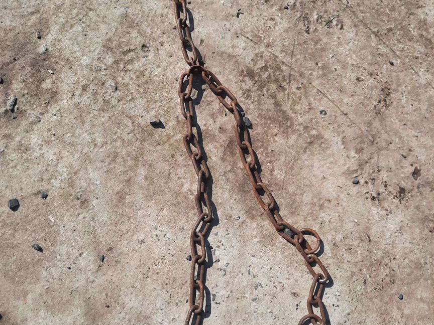 Цепь для крс