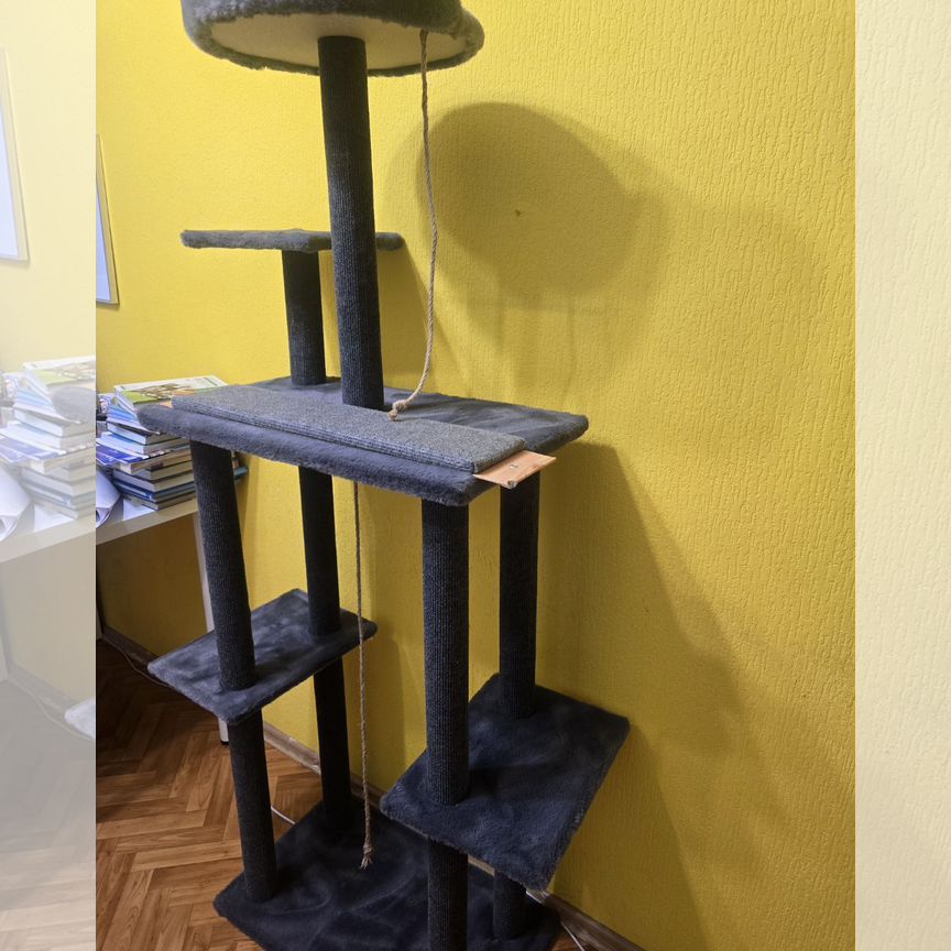 Когтеточка