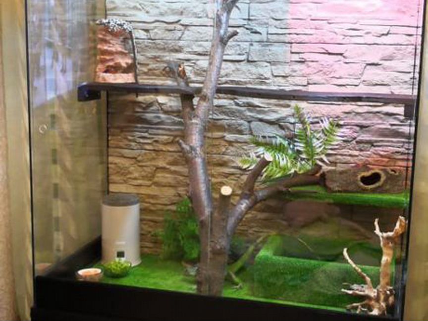Террариум для рептилий