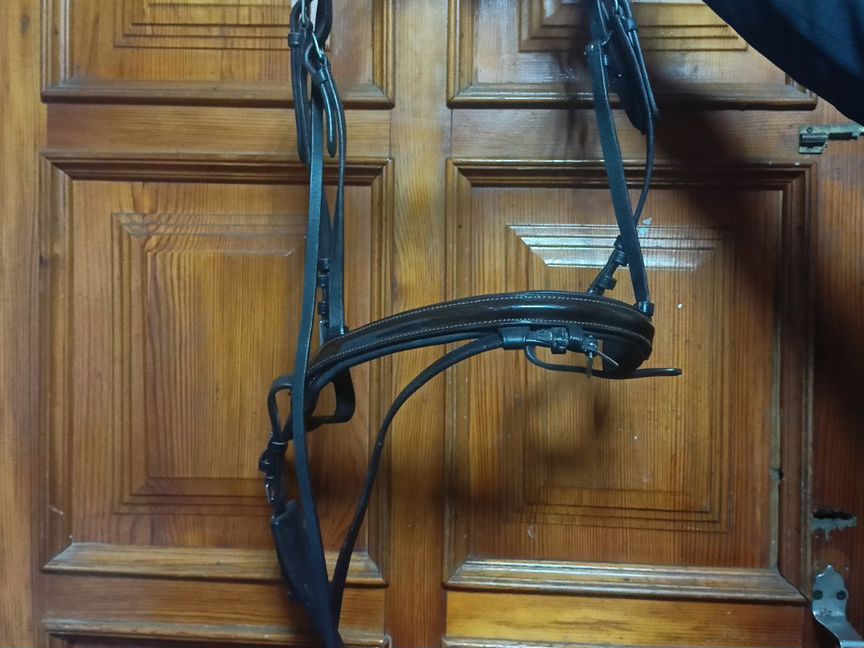 Уздечка для лошади