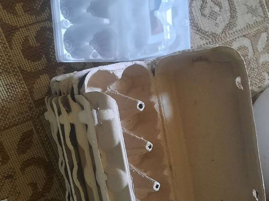 Упаковка для куриных яиц