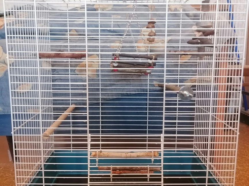 Клетка inter zoo PO61 Ara оцинкованная 54*34*65