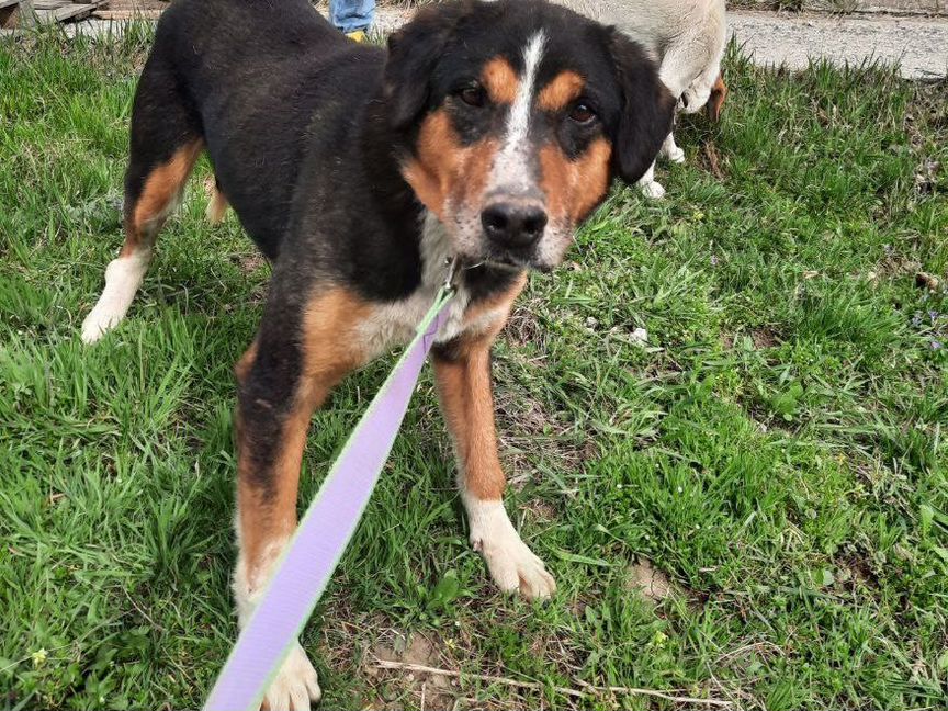 Тим старичок ищет семью