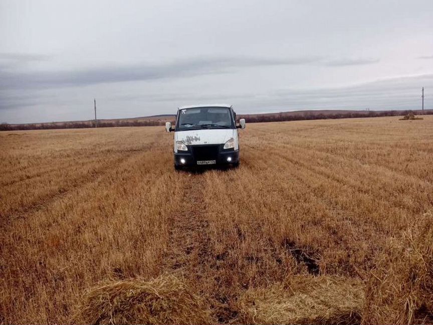 Солома с бесплатной доставкой