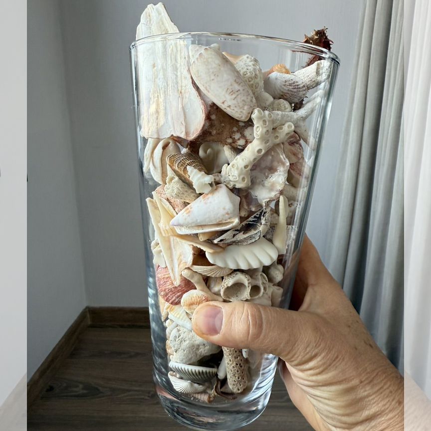 Ракушки морские маленькие