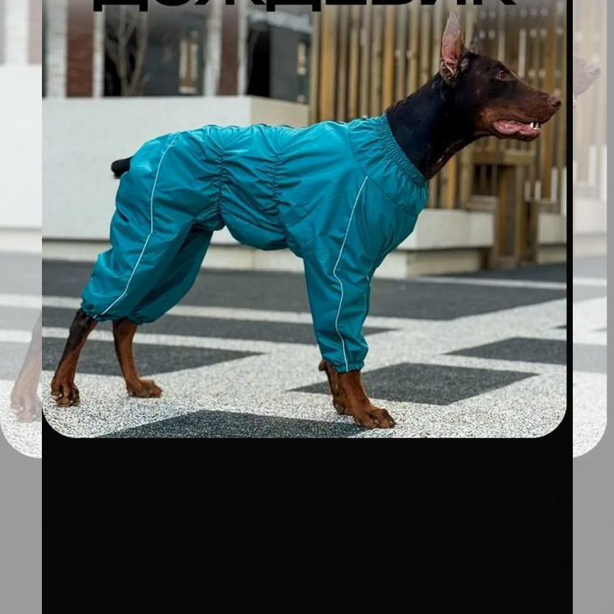 Новые дождевики LionPets (р 4) для собак