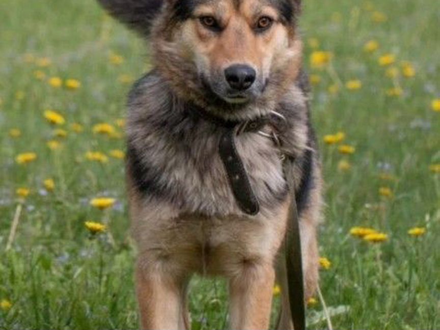 Невероятный Аксай очень ждёт свою семью