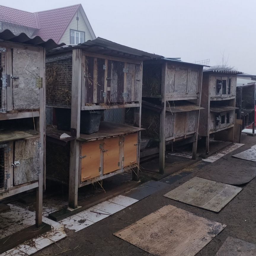 Клетка для кролика бу