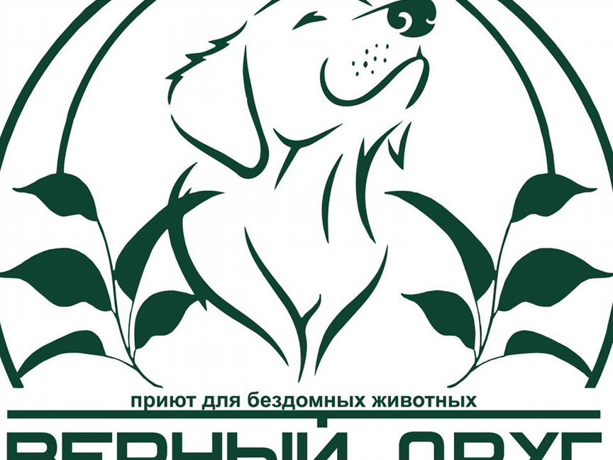 Волонтерство