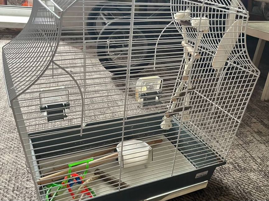 Клетка для попугая