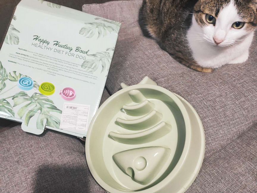 Тарелка для собак, кошек