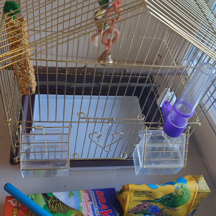 Клетка доя попугая с атрибутикой