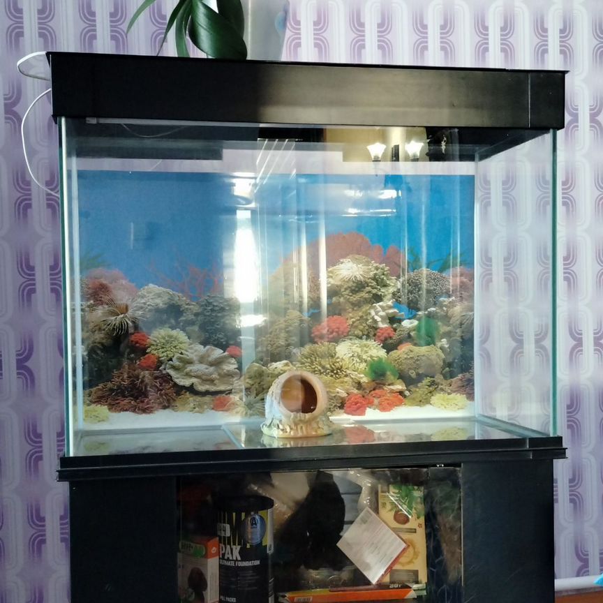 Аквариум