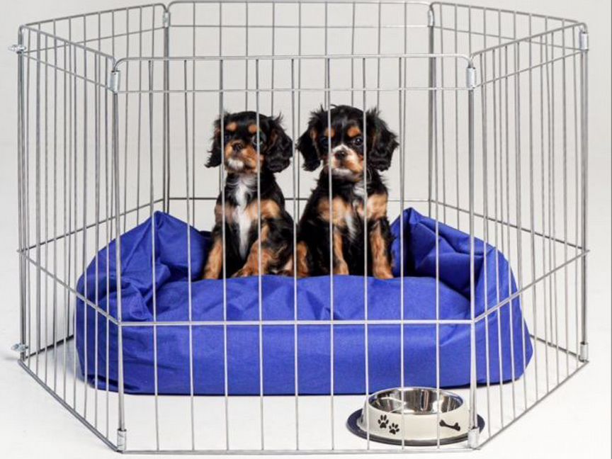 Вольер для собак