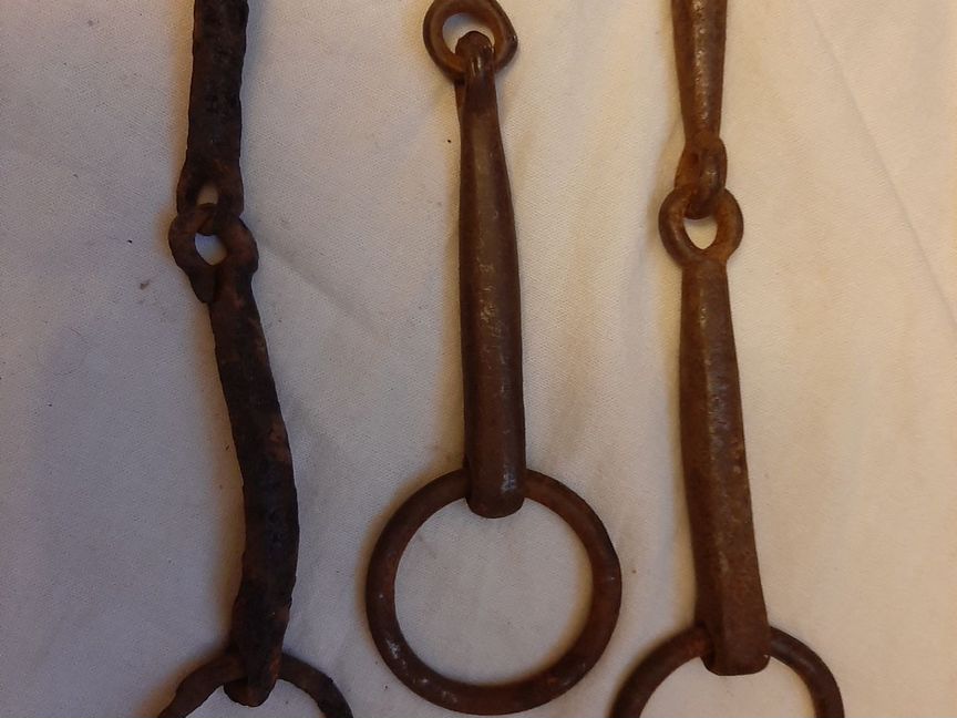 Трензель для лошади