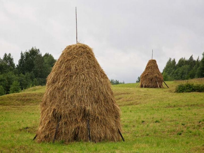 Сено Луговое