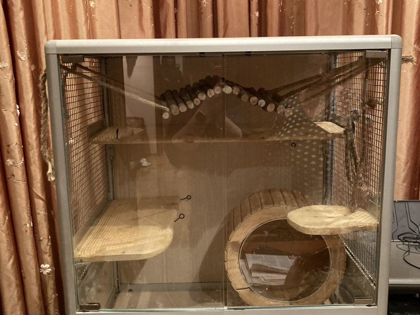 Витрина для шиншилл