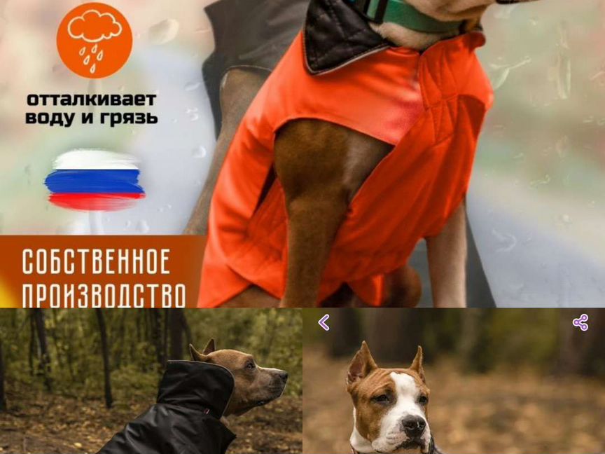 Попона для собак, куртка, комбинезон
