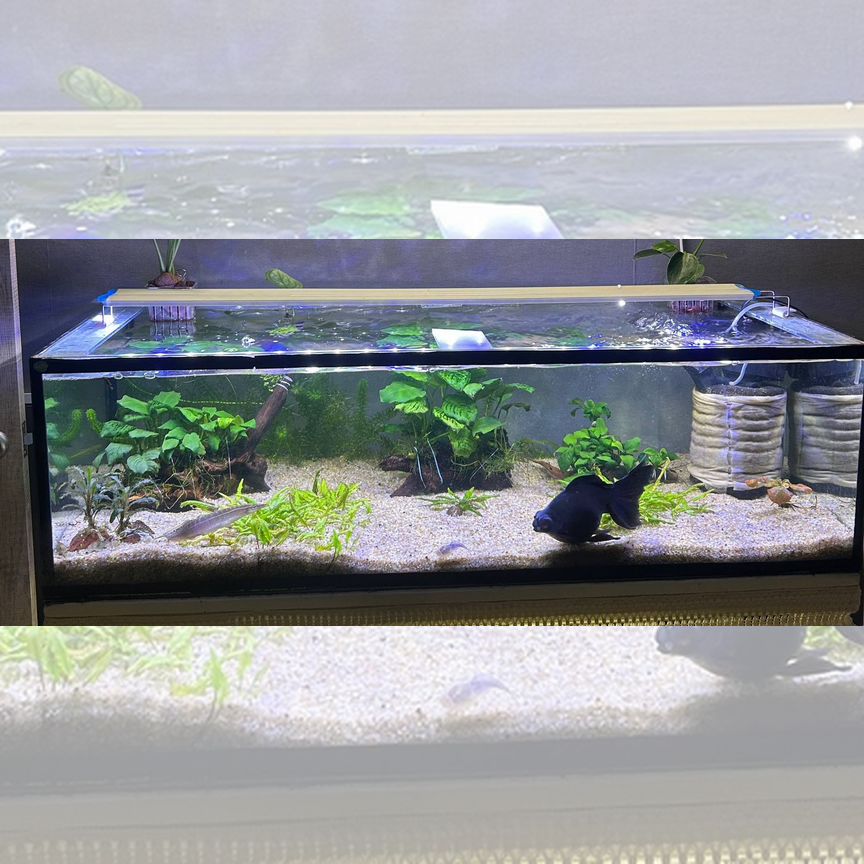 Аквариум 165 литров