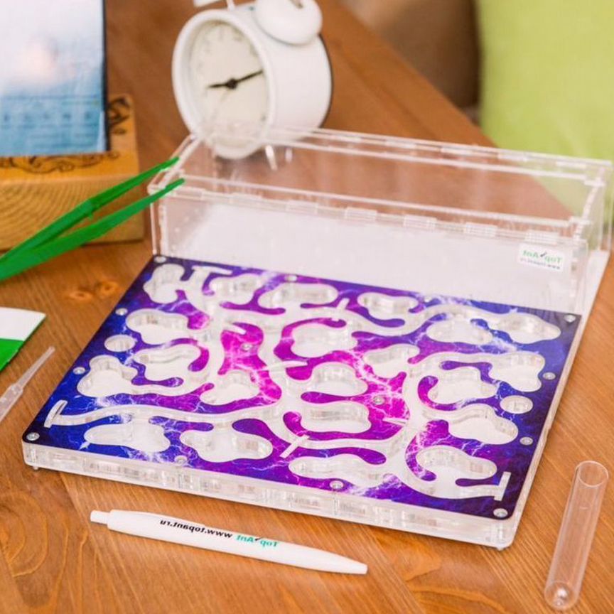 Формикарий/ Подарок для ребенка/ Муравьиная ферма