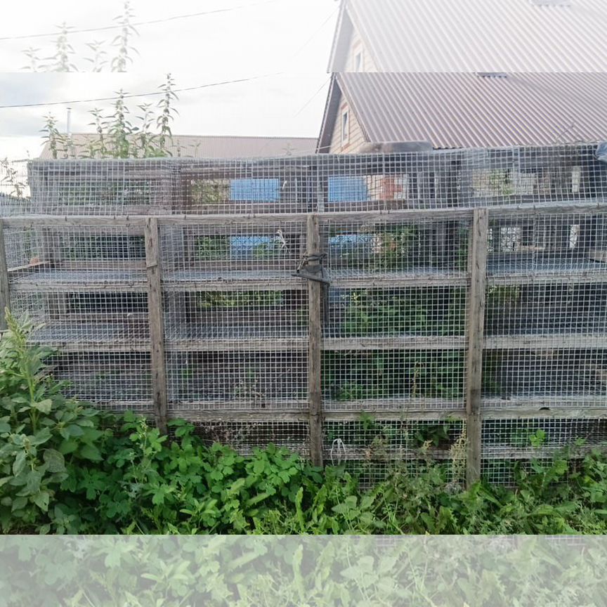 Клетка для перевозки домашней птицы