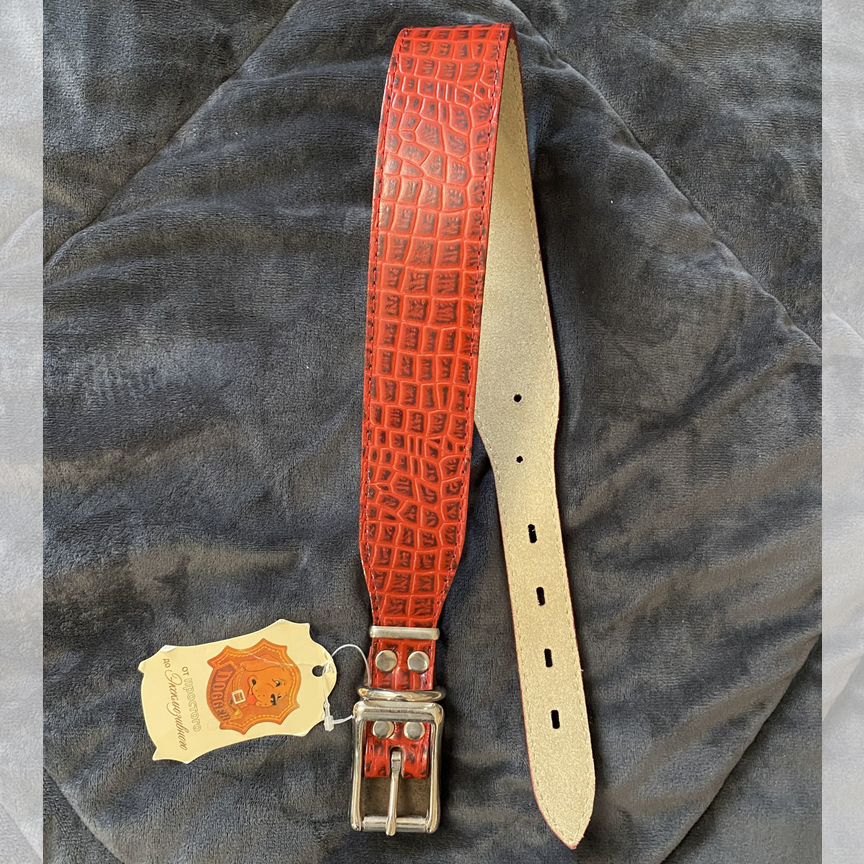 Ошейник для собак