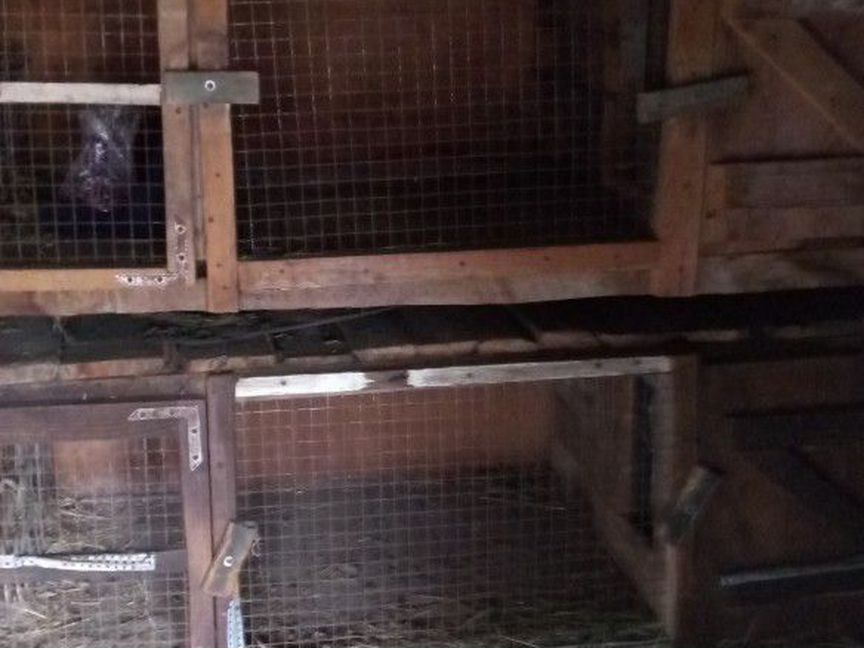 Клетка для кролика