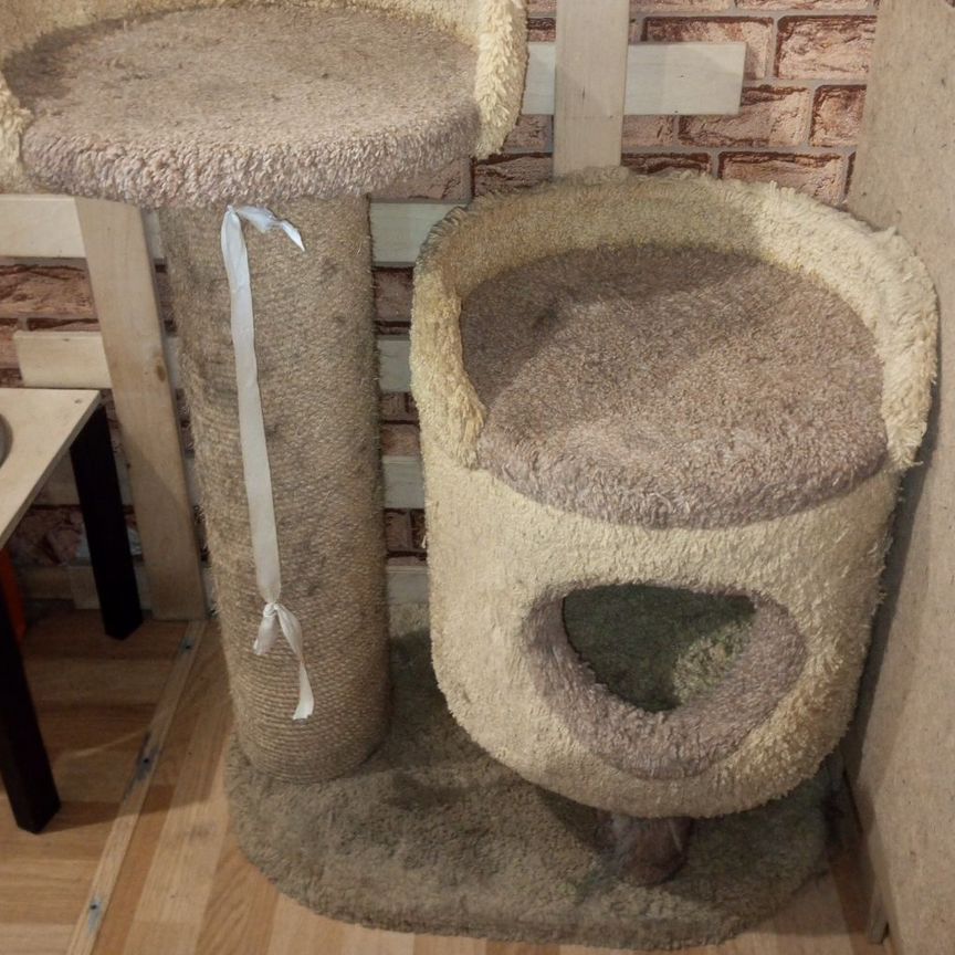 Когтеточка домик для кошки