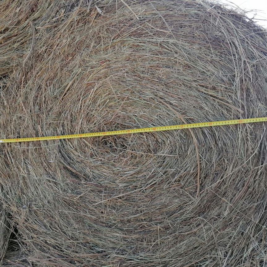 Сено в рулонах