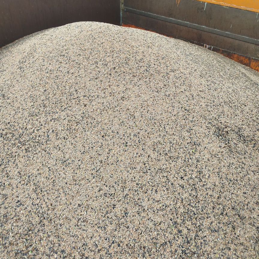 Кукуруза зерно