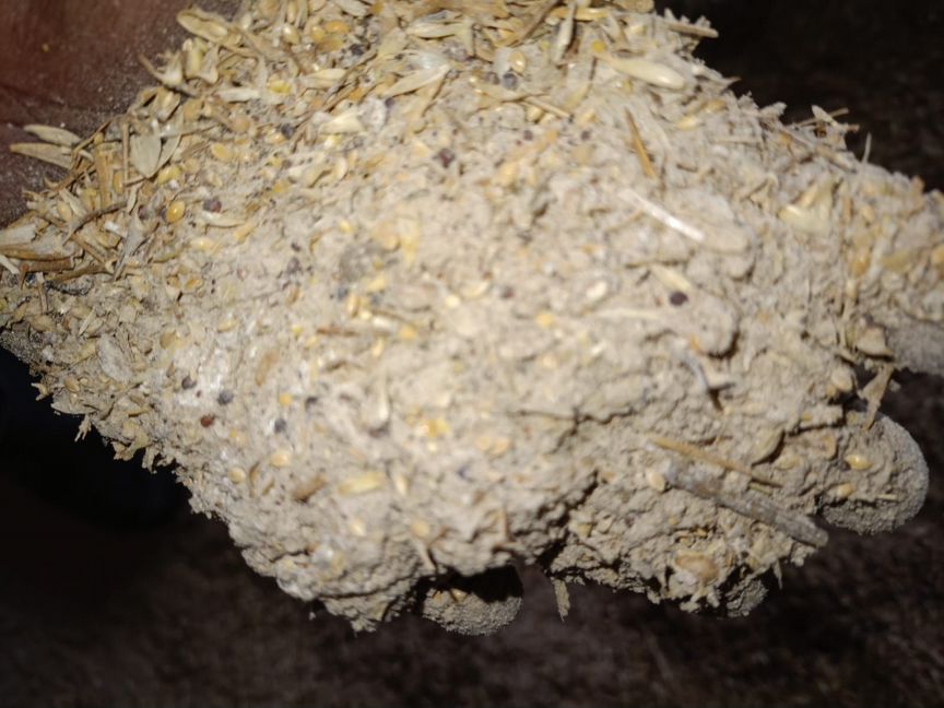 Зерноотходы